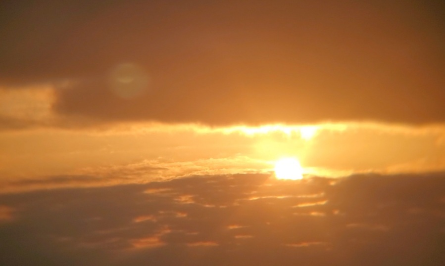 Ophi Hawk – Light Value Alignment